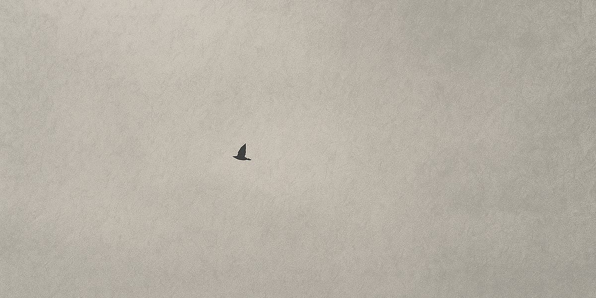 Note to the Reader - by Benjamin James Freeman