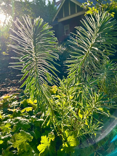 LadyBits: Anatomy, Hormones and Principles of Pleasure