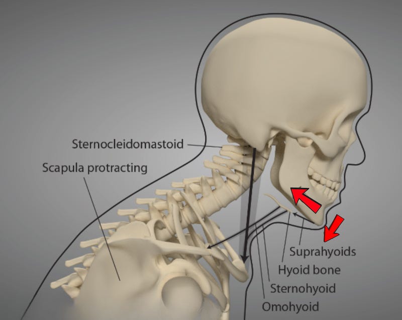 How to Fix Rounded Shoulders - Posturepro