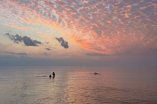 Reading & Eating | Shauna Niequist | Substack