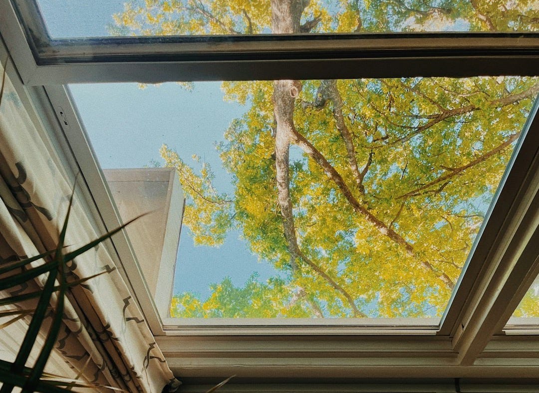 From Discipline to Design: Rethinking Wellbeing