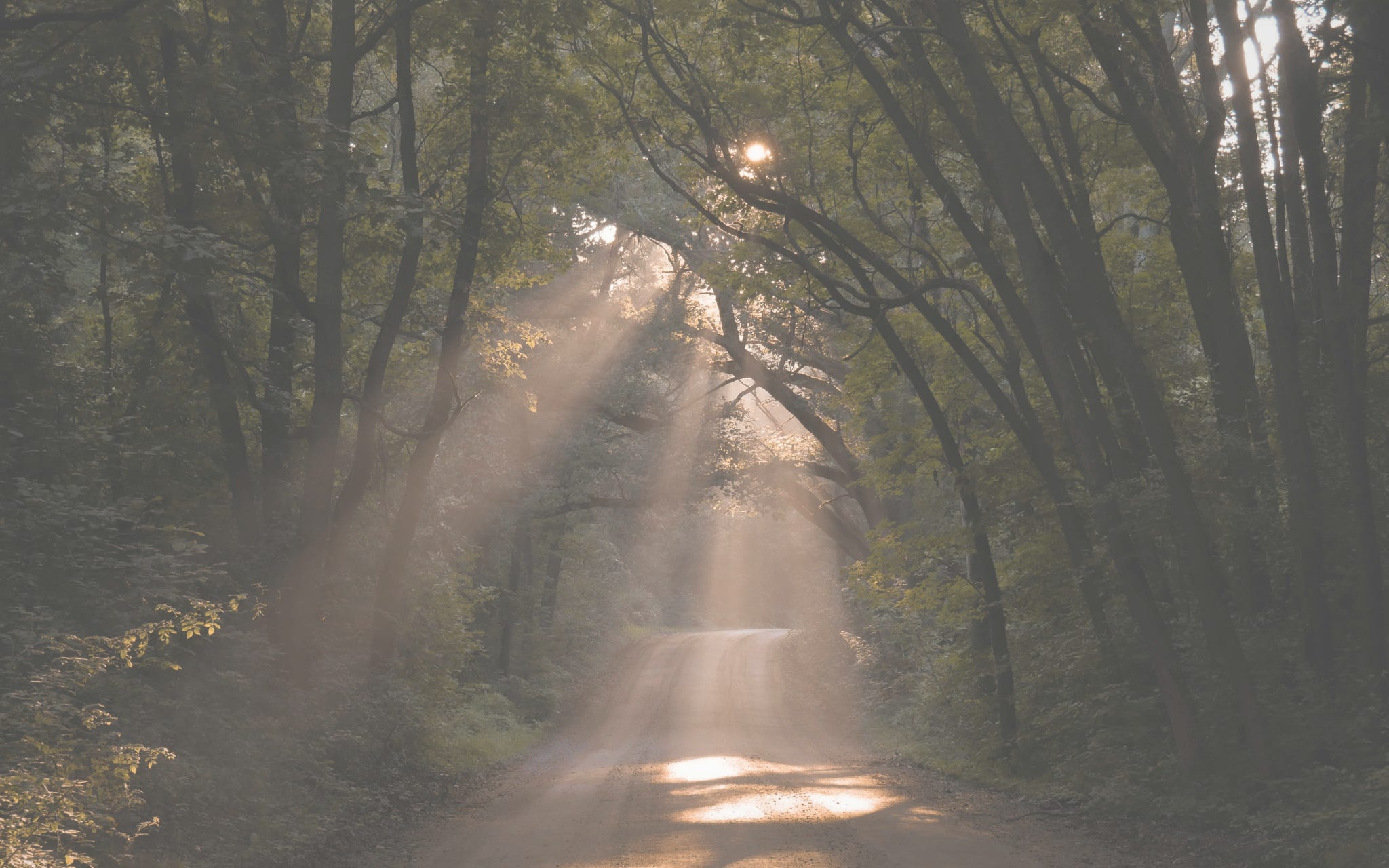 The light doesn't rush you. - A Liminal Embrace