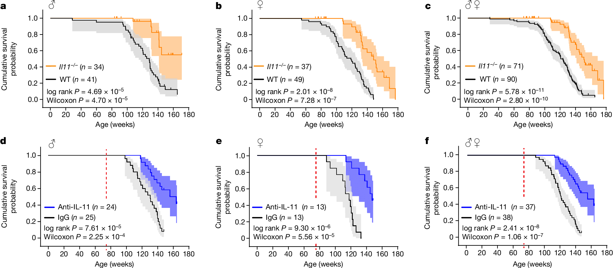 Google’s Calico Labs Has An Anti-Aging Drug That Extended Mouse ...