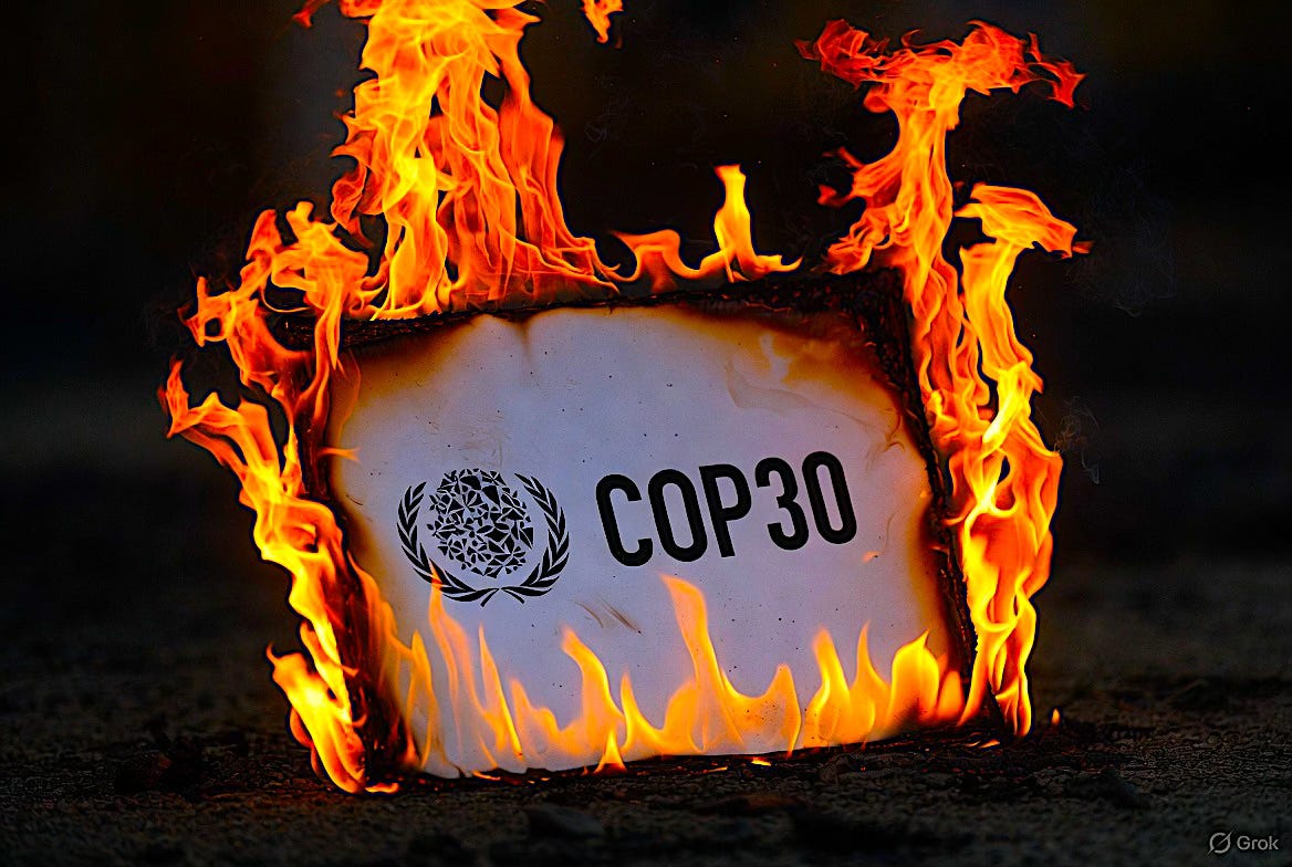 The Big Fail: Cop30,Kicking the "Whole Thing Has Been A Scam" Can Down ...