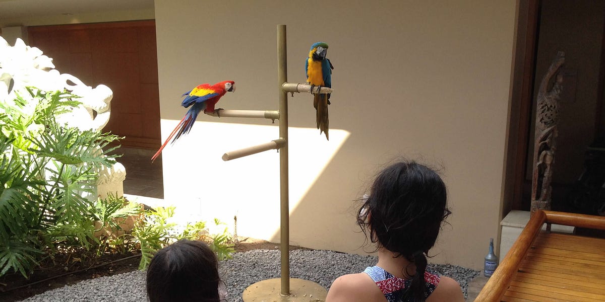 Demystifying the Hilton Waikoloa Village