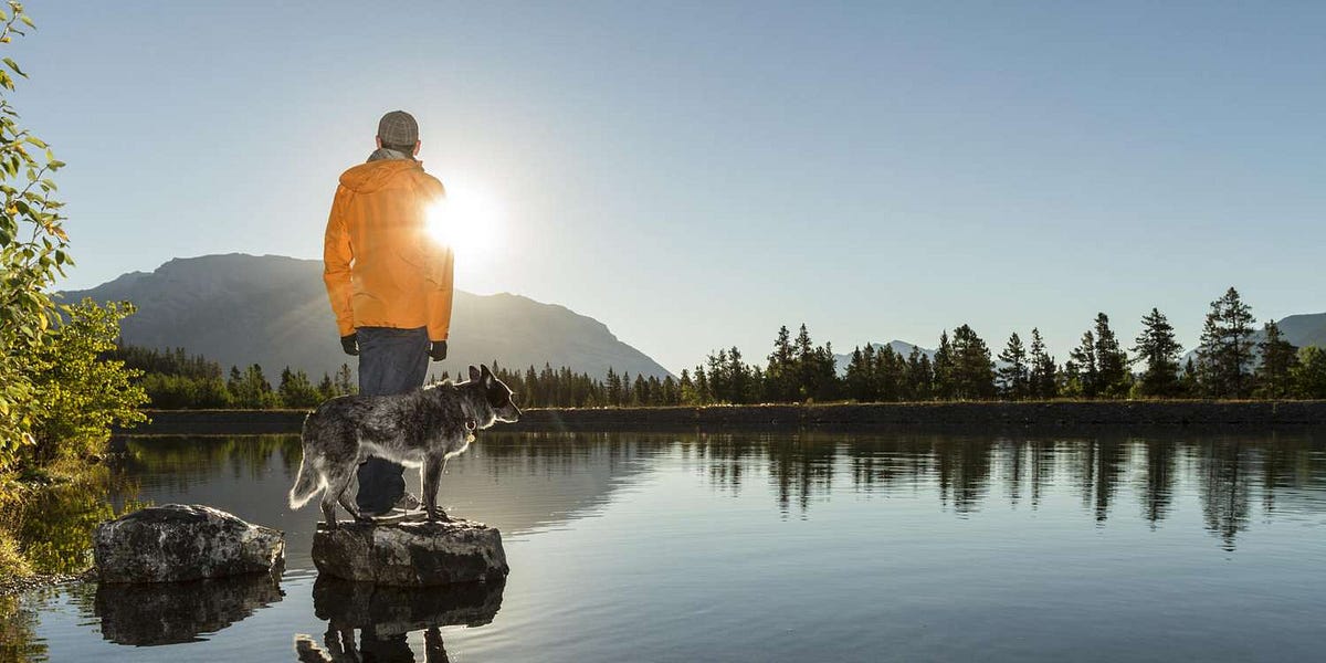 About Choosing Less Harm in 2026 - by Michael Corthell