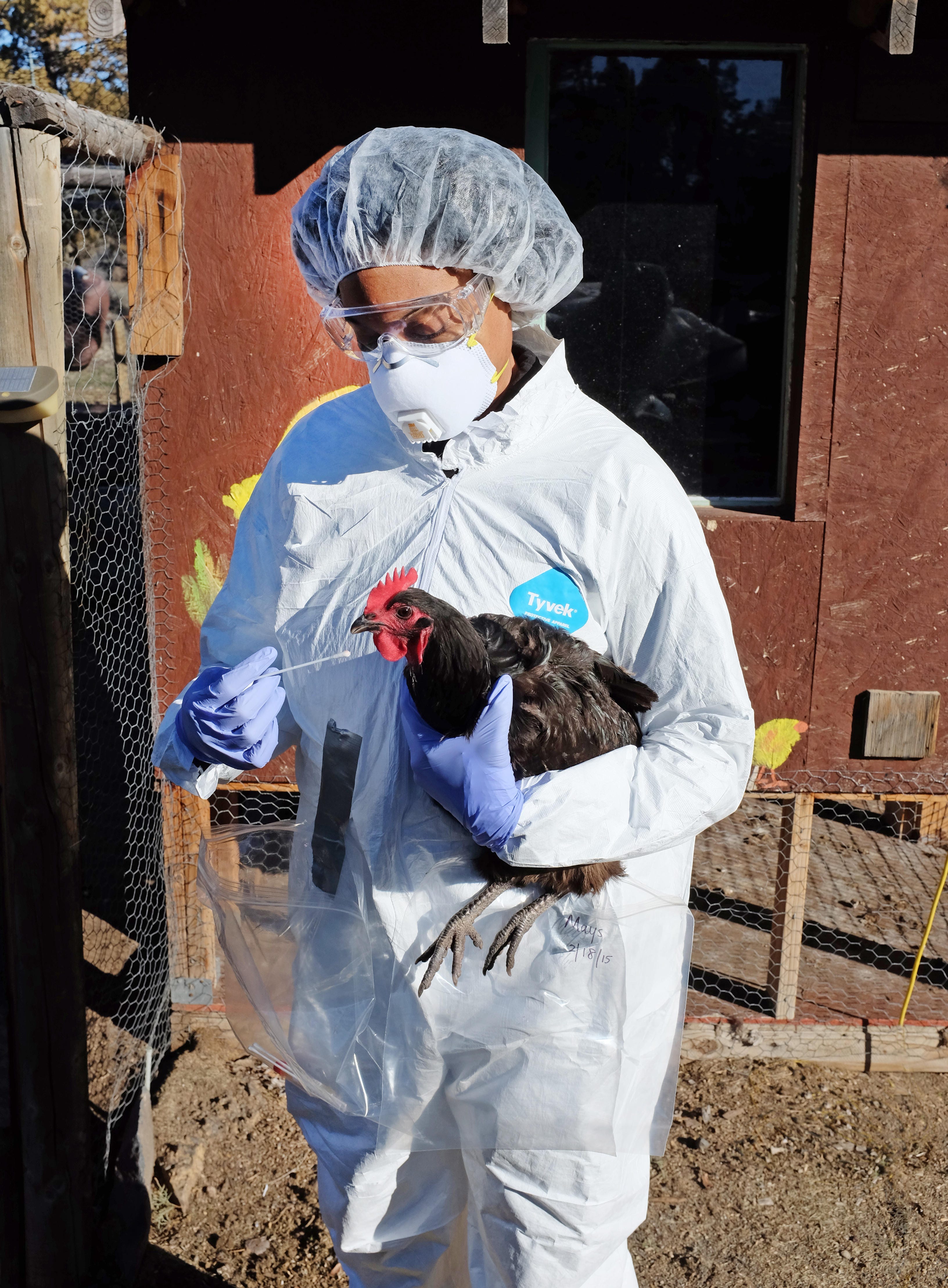 Keeping Ahead of Contagion - by Deena Mousa - Asimov Press