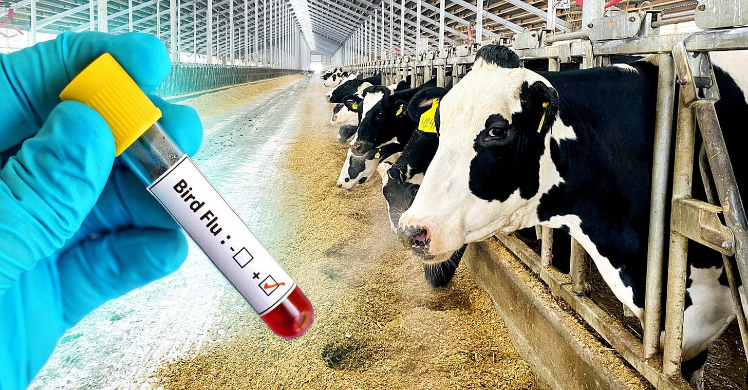 Exclusive: Bird Flu Outbreak 40 Miles From Wisconsin Lab Sparks Concern ...