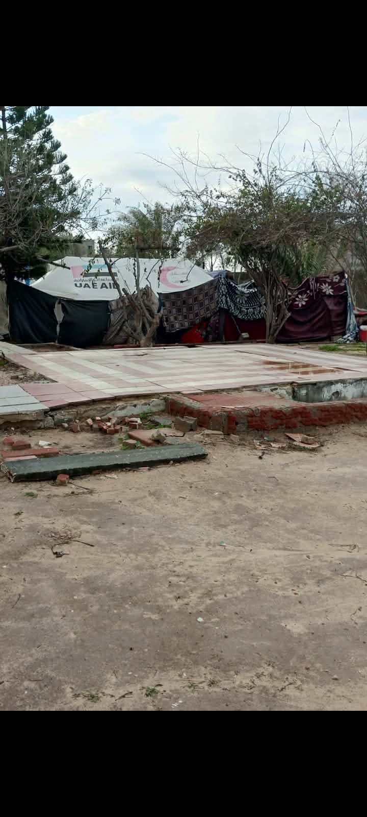 GAZA RELIEF #185 January 1, 2025 - by Norman H Olsen