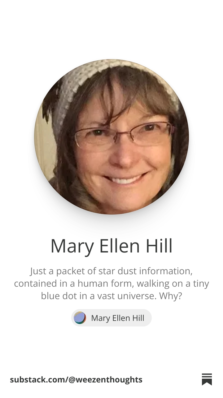 Mary Ellen Hill | Substack