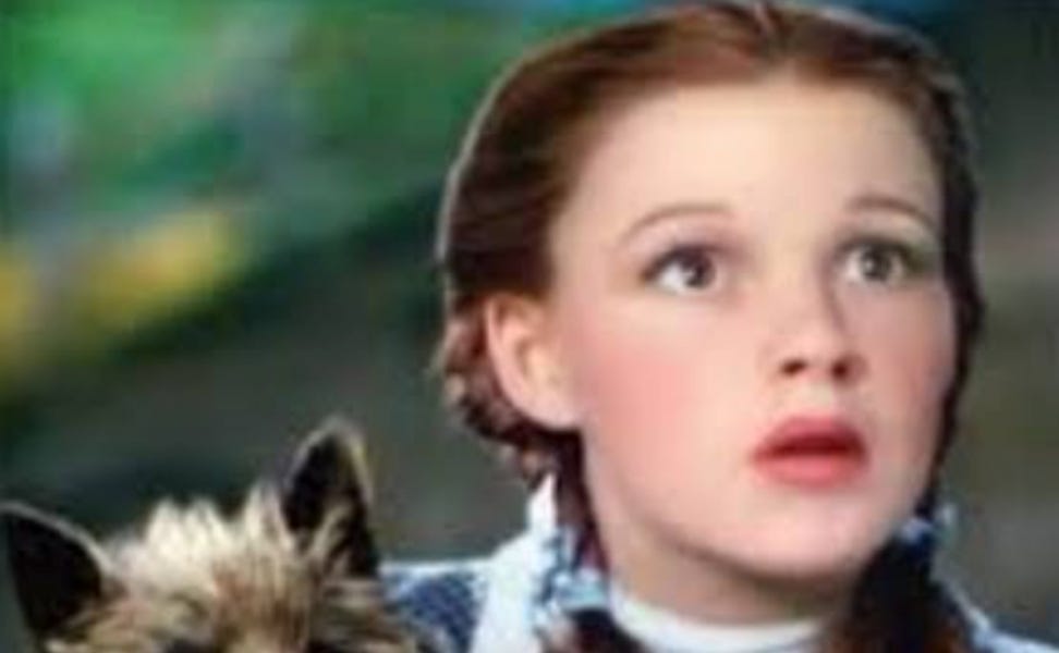 TLDR - A Byte Sized Daily Tech Newsletter