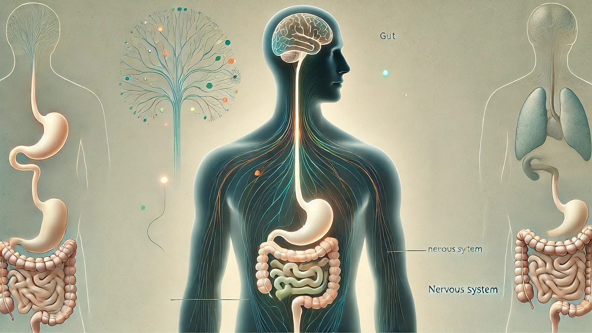 HRV: The Conversation Between the Brain and the Evolutionary Body