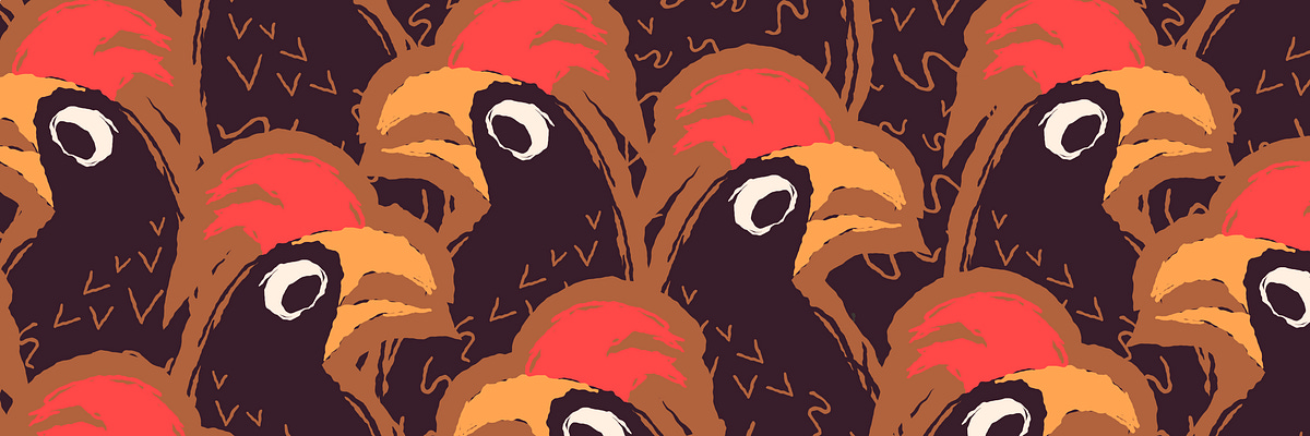 Robin | Substack