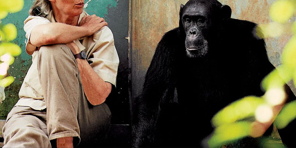 Rest in Peace, Jane Goodall - by Jennifer Margulis