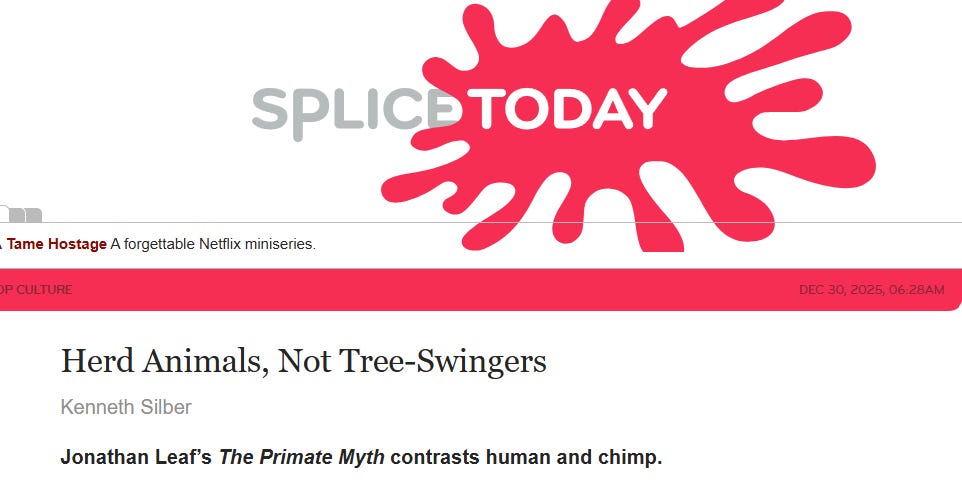 Why Do Men Have Beards?: An Evolutionary Explanation