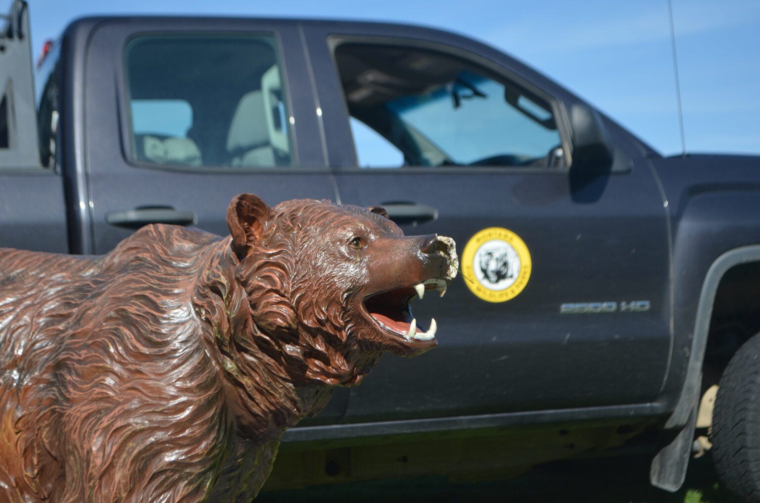 Robo-Bear: Montana Has a Robotic Bear That Teaches Residents to be ...