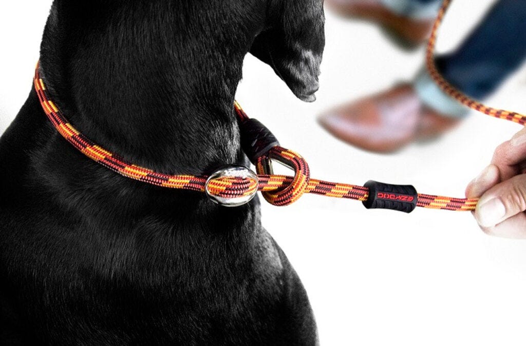 How to Use a Slip Lead Dog Leash Effectively