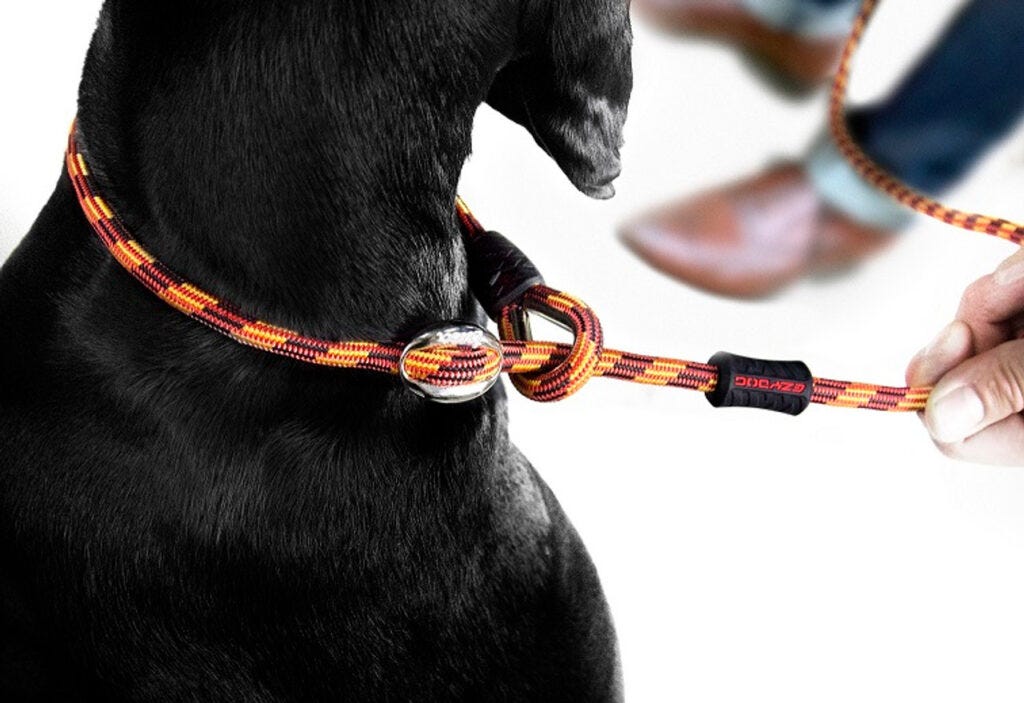 How to Use a Slip Lead Dog Leash Effectively