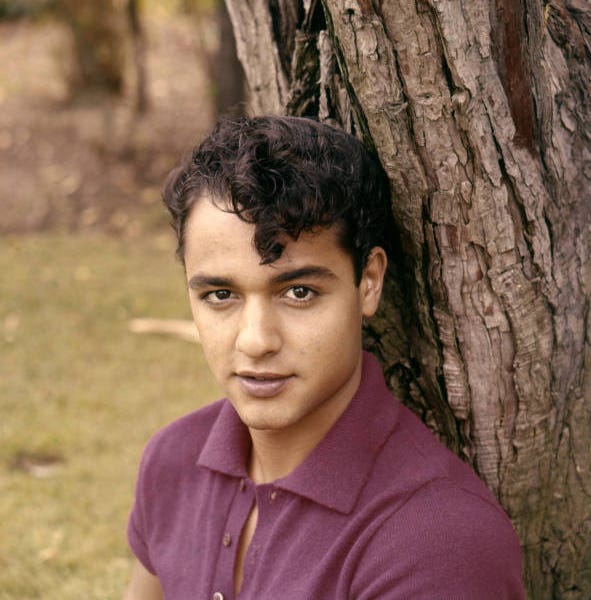 The Murder of Sal Mineo - James Grissom