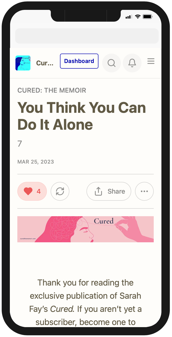 How to Use Images on Substack - by Sarah Fay, PhD
