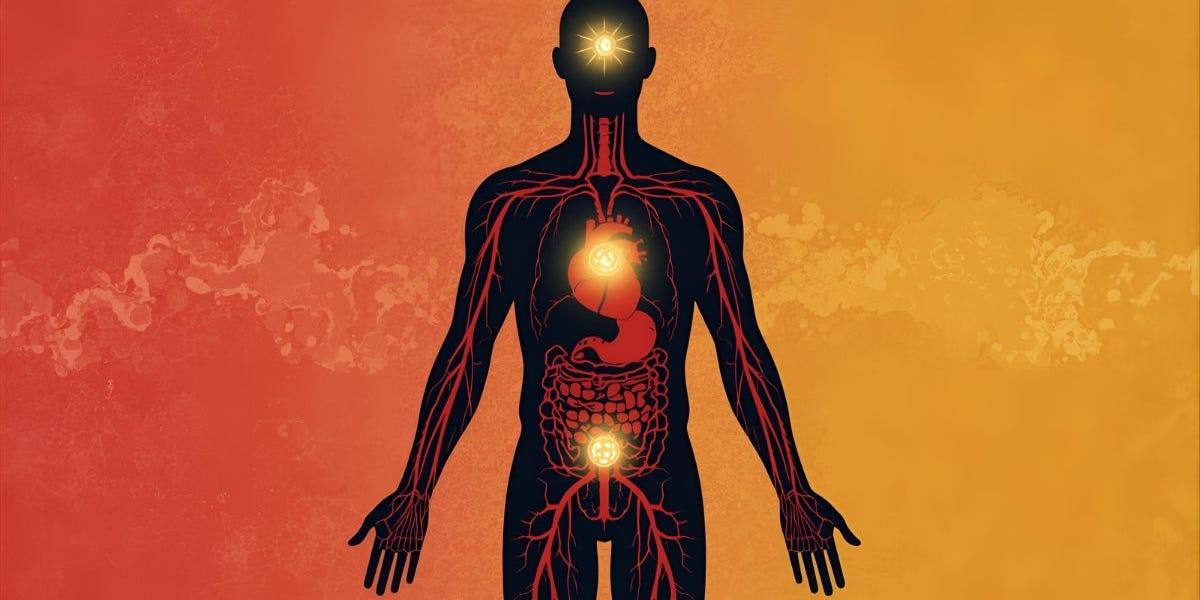 Understanding Your Nervous System and Stress Response