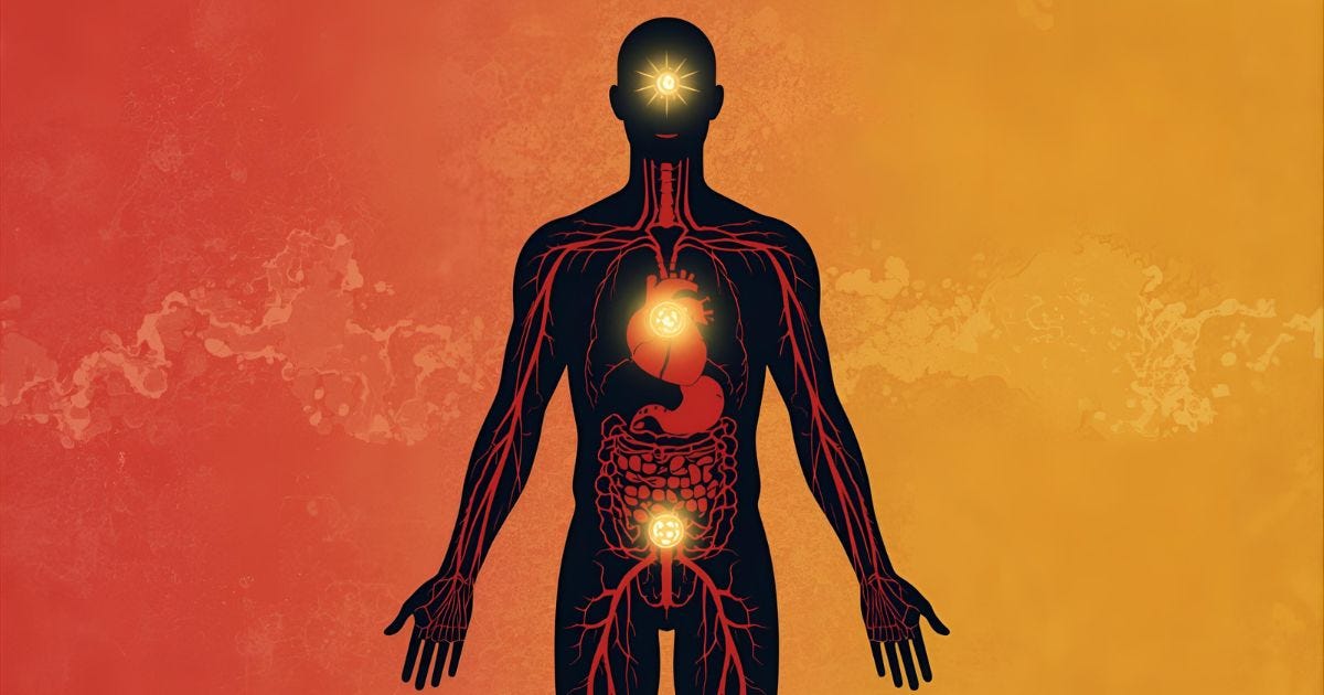 Understanding Your Nervous System and Stress Response