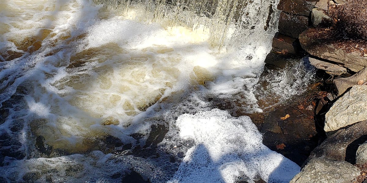 Moving Into Spring - Beautiful Strangers by Frances Ray