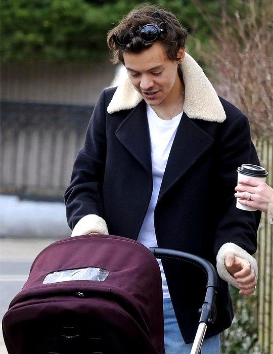 Harry Styles Turns 30 - Learn All His Fandom Nicknames