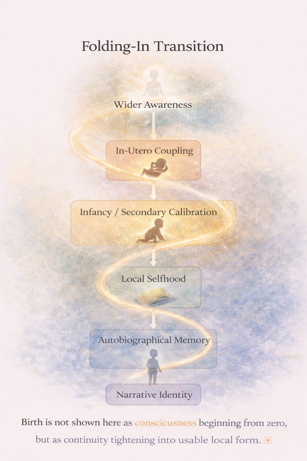 What Is Rebirth? | Consciousness, Continuity and the Return to Form
