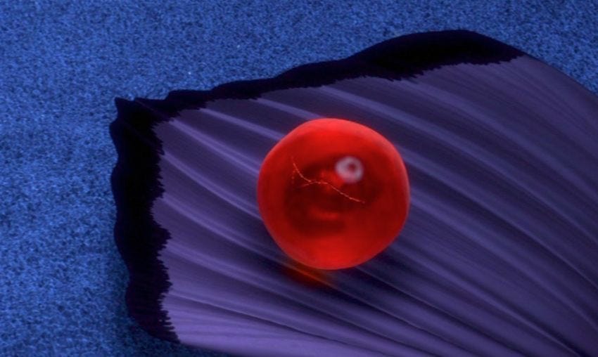 Just Keep Swimming: What Finding Nemo Teaches Us About Fear and Letting Go