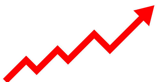 True Compounders #4 - Darius Dark Investing