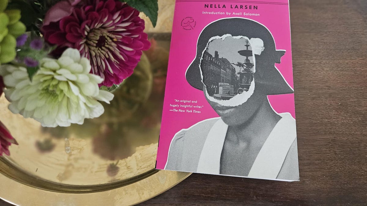 Introducing 'Quicksand' by Nella Larsen - by Chelsey Feder