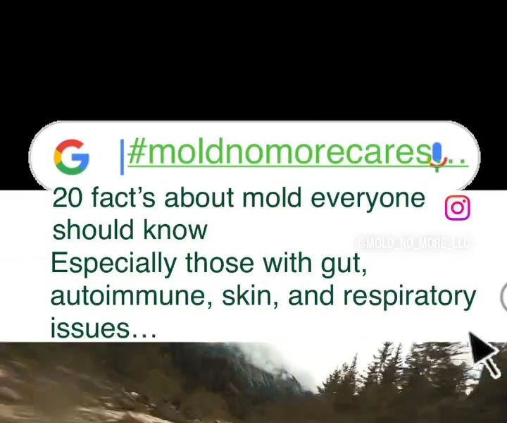 20 facts about mold everyone should know..