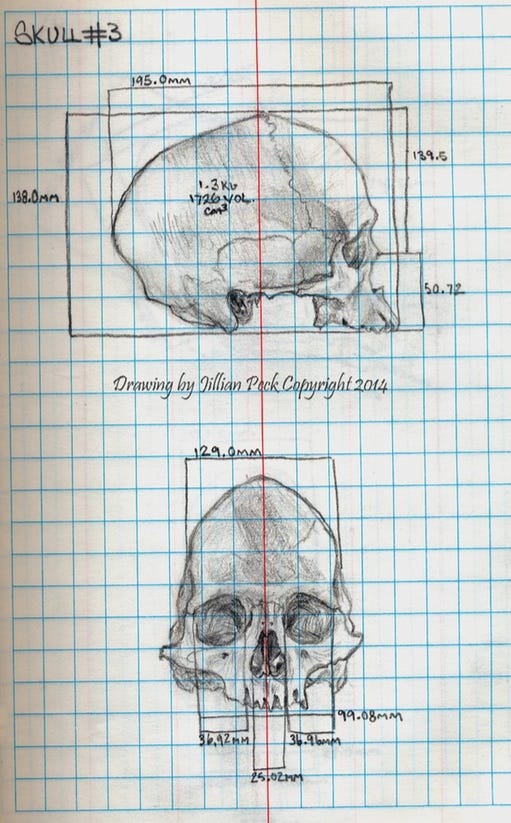 The Paracas Elongated Skulls - Dr. Aaron Judkins Substack
