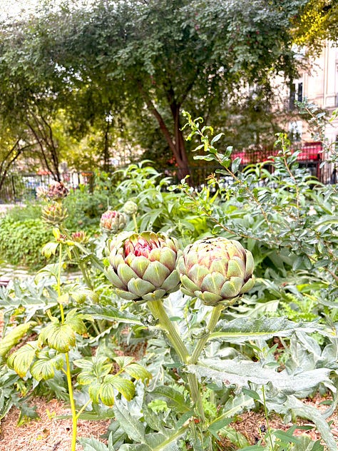 Try the Proust family's tart dough recipe