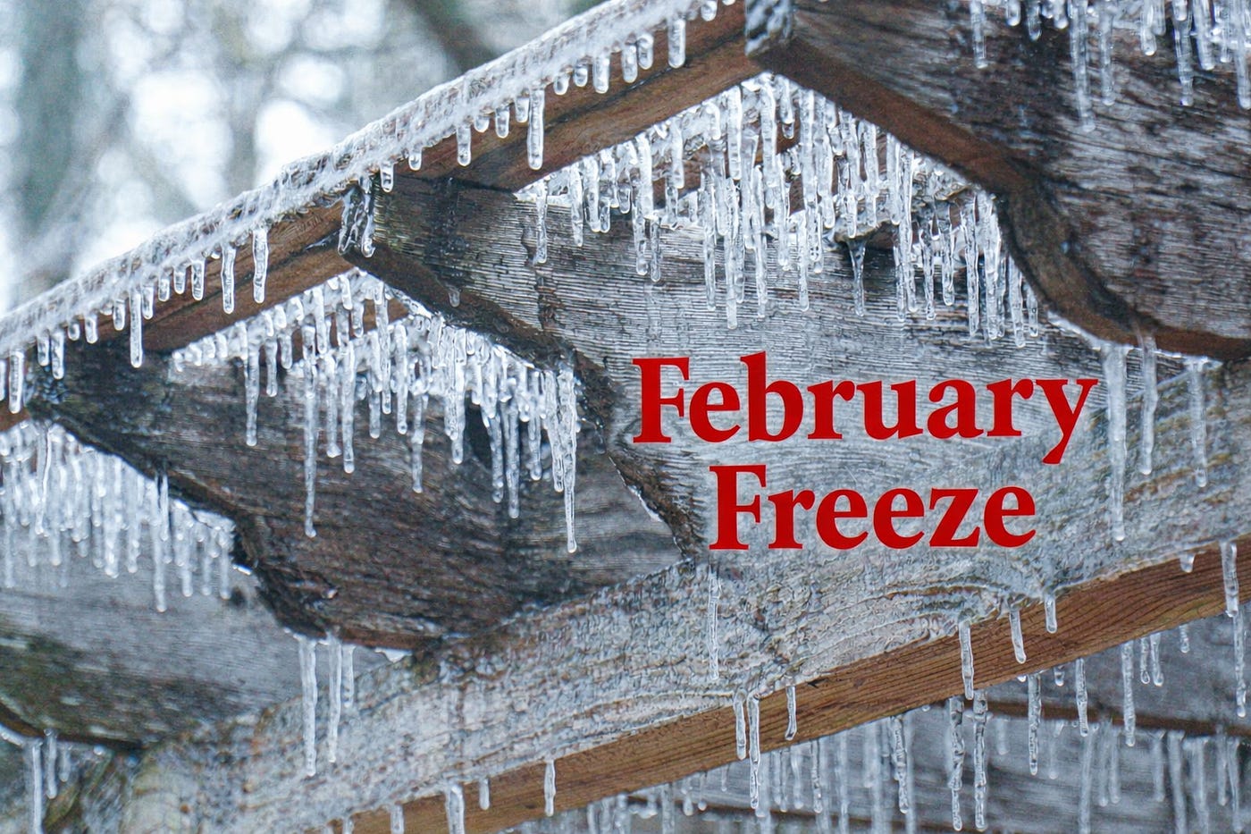 February Freeze - by Mary Louisa Cappelli
