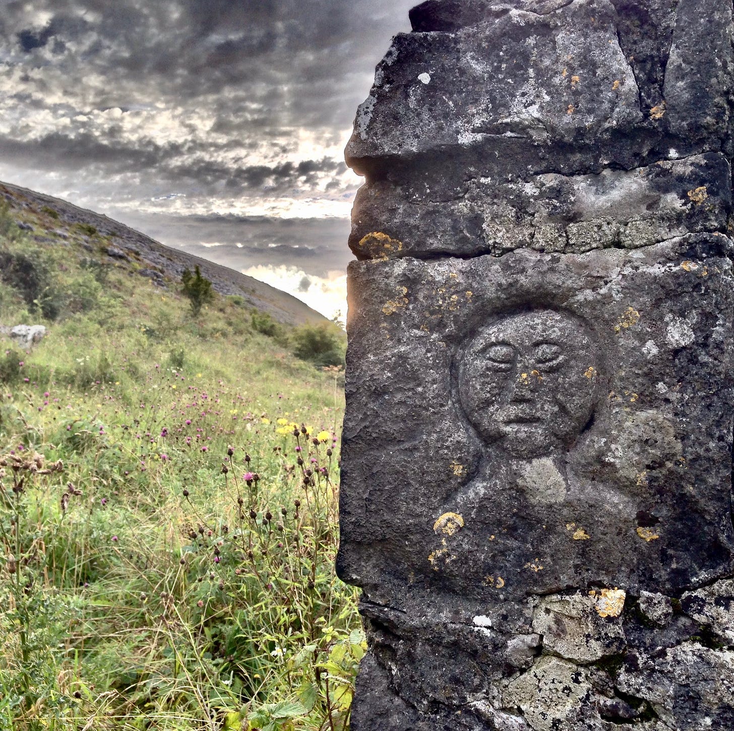The Face in the Stone - David Whyte