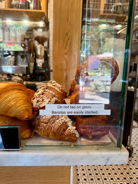 the weekly yap 01 - the smitten kitchen digest