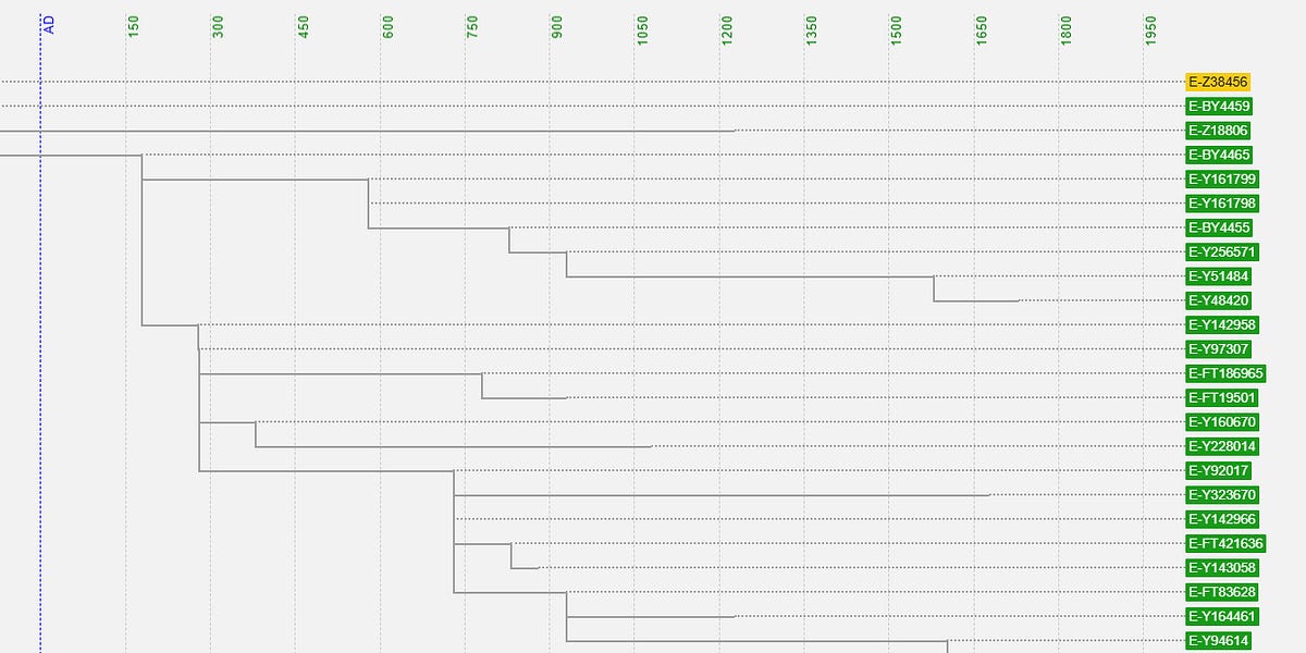 E-BY4465: a Look into a Proto-Albanian lineage