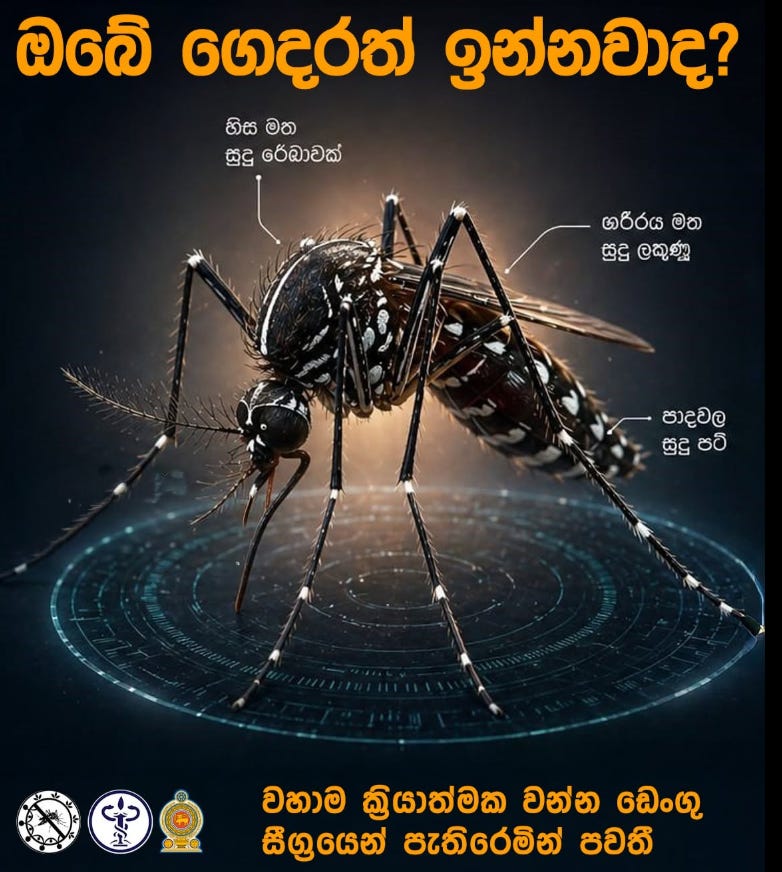 Sri Lanka dengue outbreak grows, a Special Dengue Prevention Week ...
