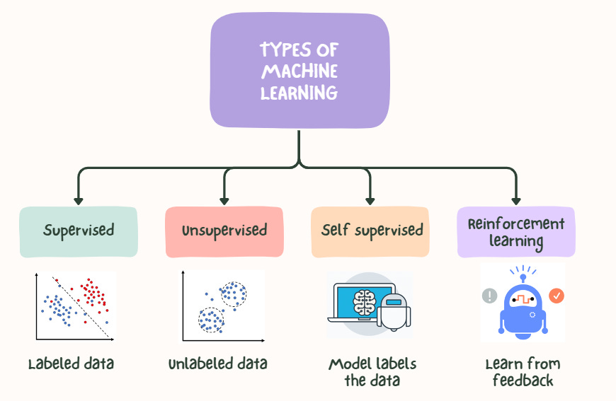Top 8 Machine Learning Algorithms: Everything You Need to Know