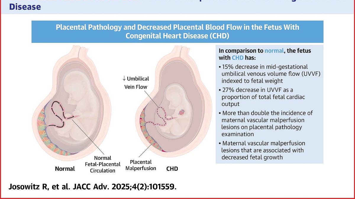 abnormal placenta formation