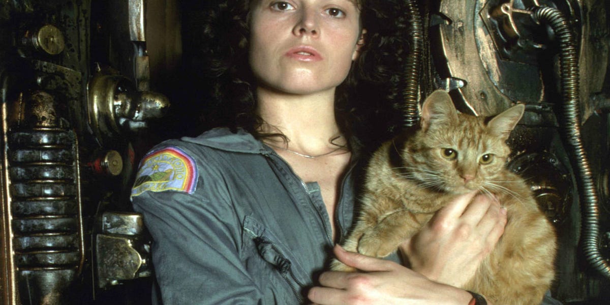 The Truth About Jonesy (Alien) - by Claire Roberts