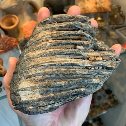 things found in thames