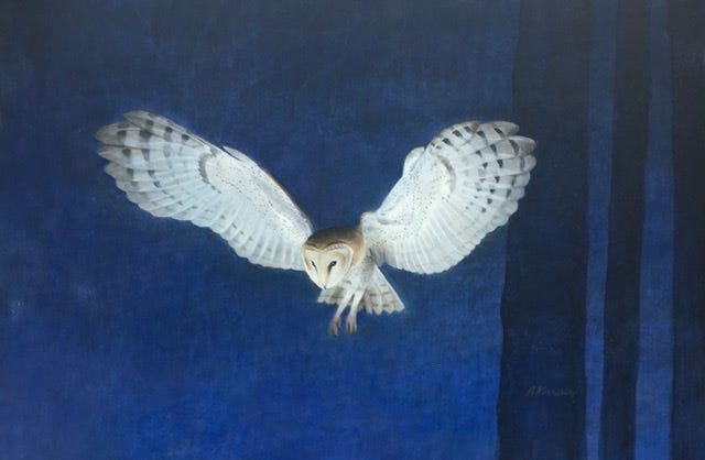 Fly - Jane Killingbeck