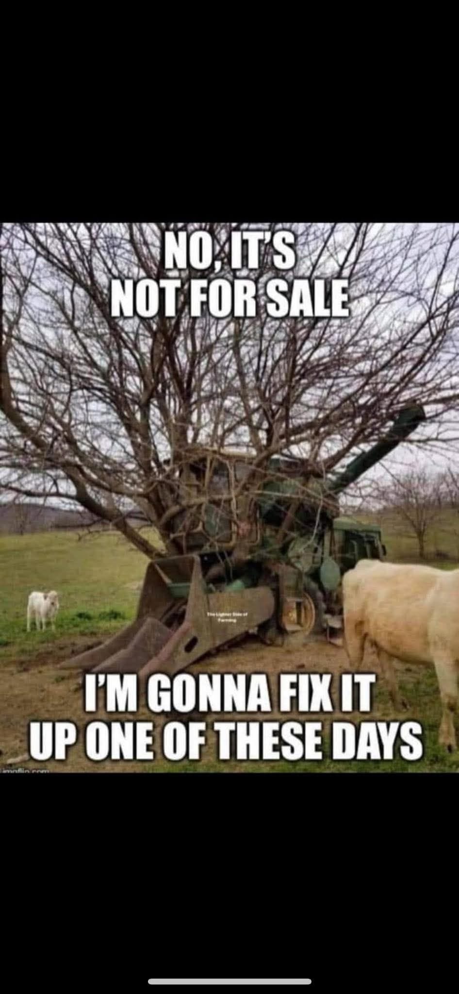 MONDAY MORNING MEME DUMP (#280) - by Tyler Zed