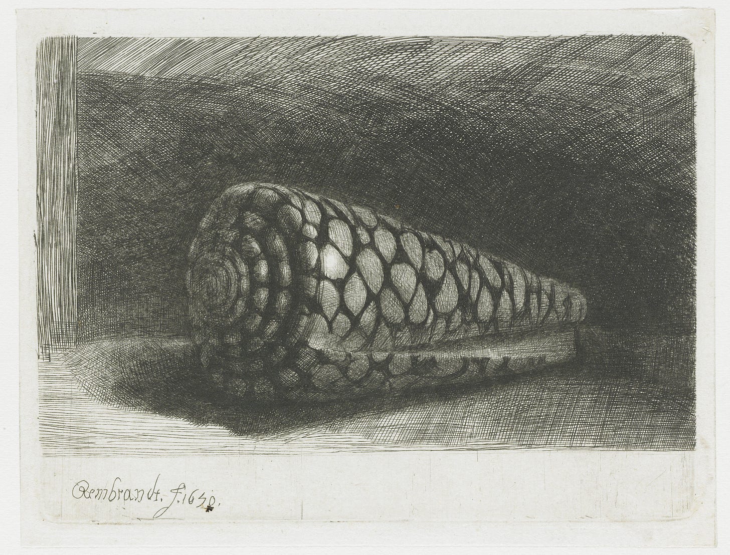 Were shells the artist's earliest muse? - by Elsie Morales