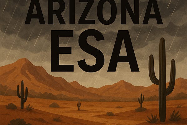 The State 48 News | Substack