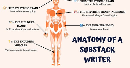 Average Joe’s Guide to Substack | Frey | Substack