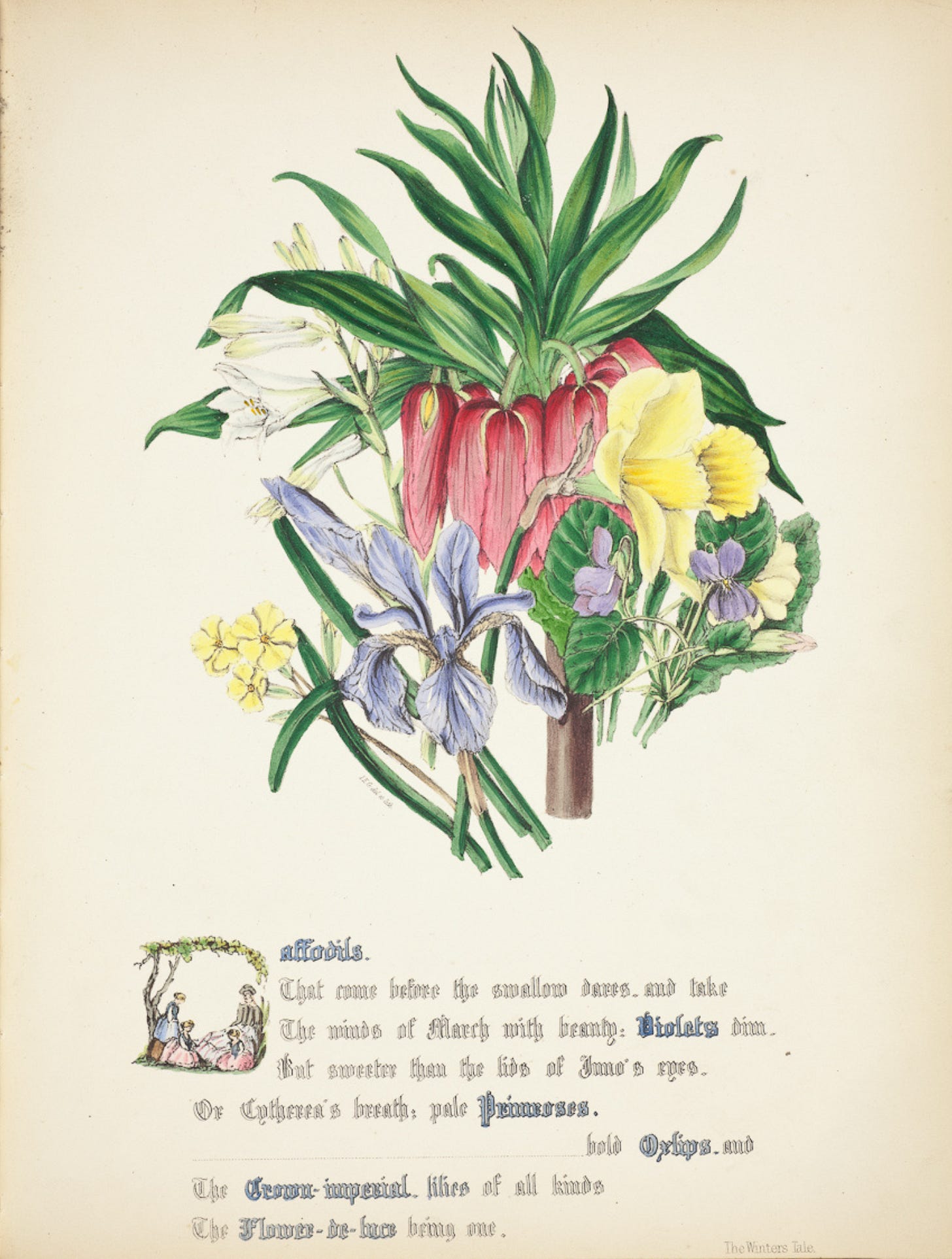 The Shakespeare Garden: Jane Elizabeth Giraud's Posies and Elizabethan ...